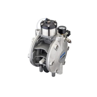DX200SN | Binks DX200 1:1 Diaphragm Pump - Bare Setup | Binks
