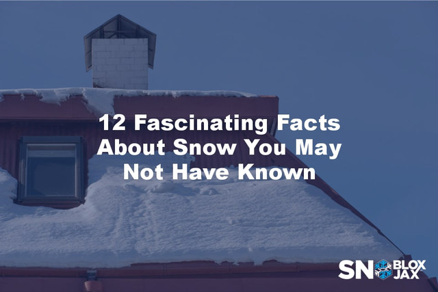 12 Fascinating Facts About Snow You May Not Have Known - SnoBlox-Snojax