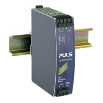 PULS YR2.DIODE Diode redundancy module 24V, 20A