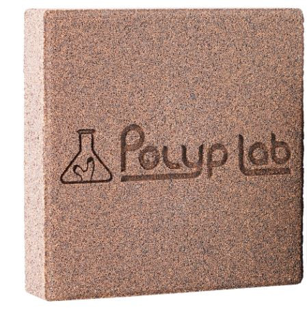 Polyp Lab Genesis Rock - Auburn Aquarium and Terrarium