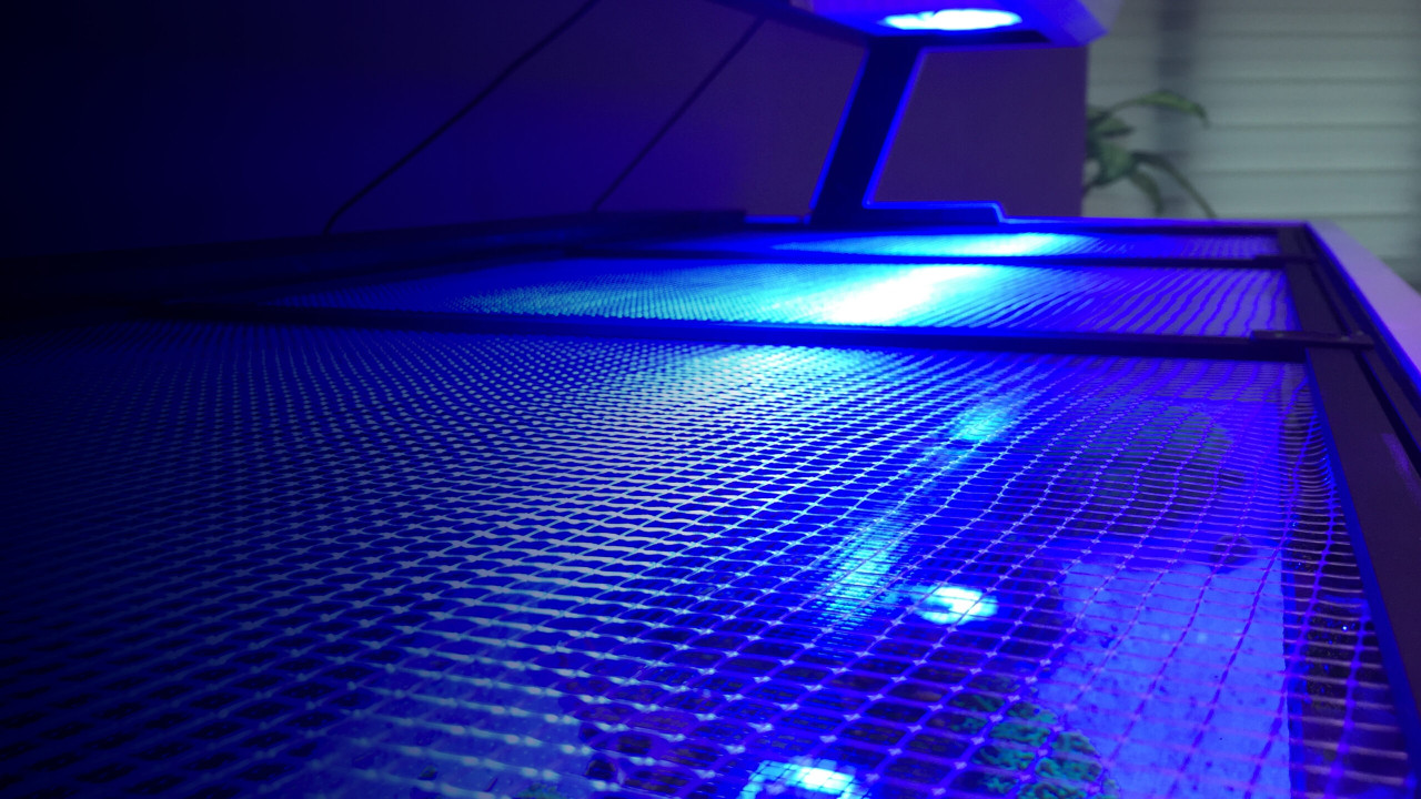 Red Sea Aquarium Net Cover - Auburn Aquarium and Terrarium