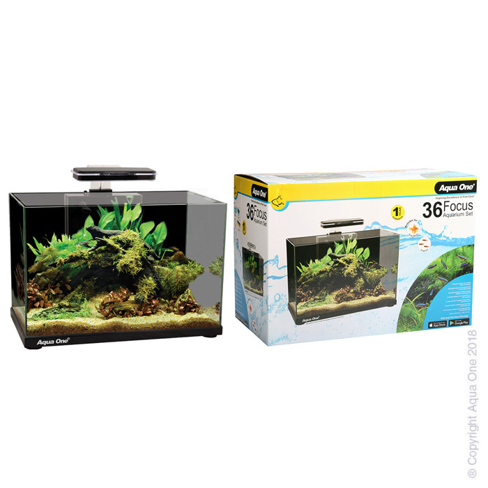 Aqua One Focus 36 Black - Auburn Aquarium and Terrarium