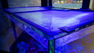 Red Sea Aquarium Net Cover - Auburn Aquarium and Terrarium