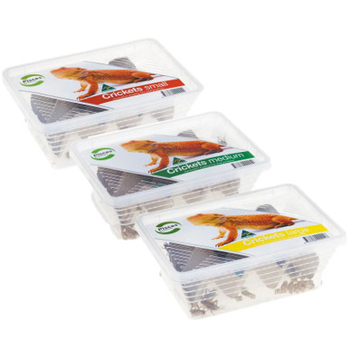 Pisces Crickets - Tubs - Auburn Aquarium and Terrarium