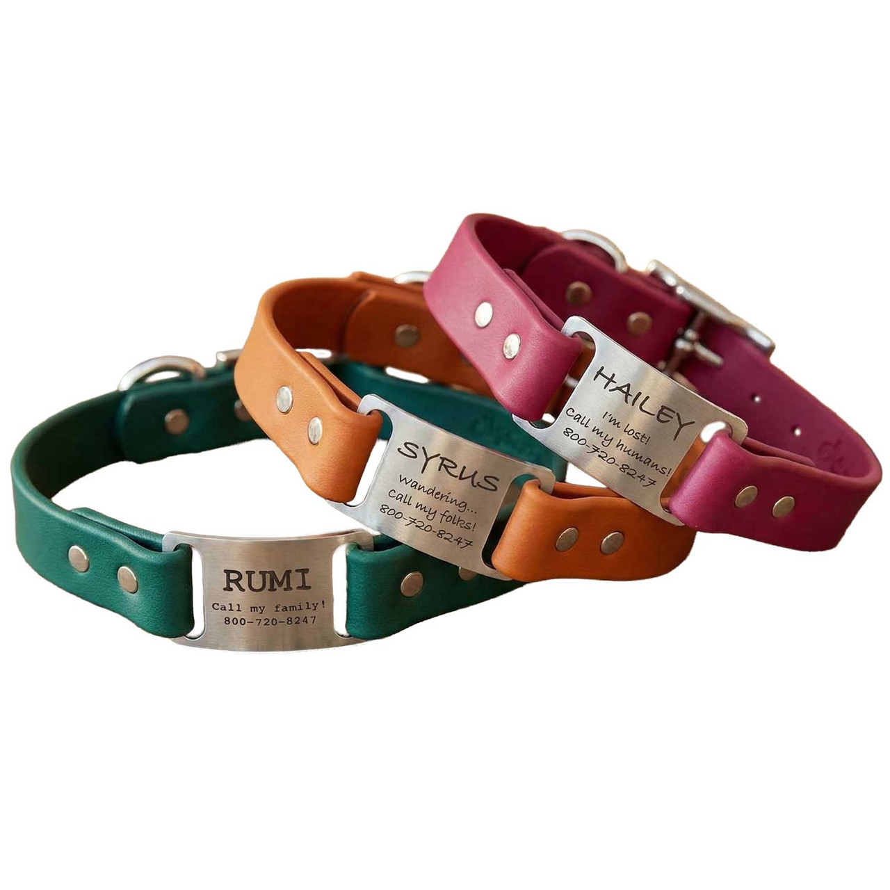 Personalized Dog Collars & Custom ID Tags | dogIDs