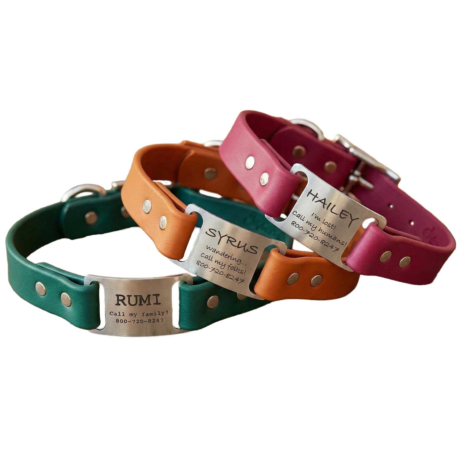 Personalized Dog Collars & Custom ID Tags | dogIDs