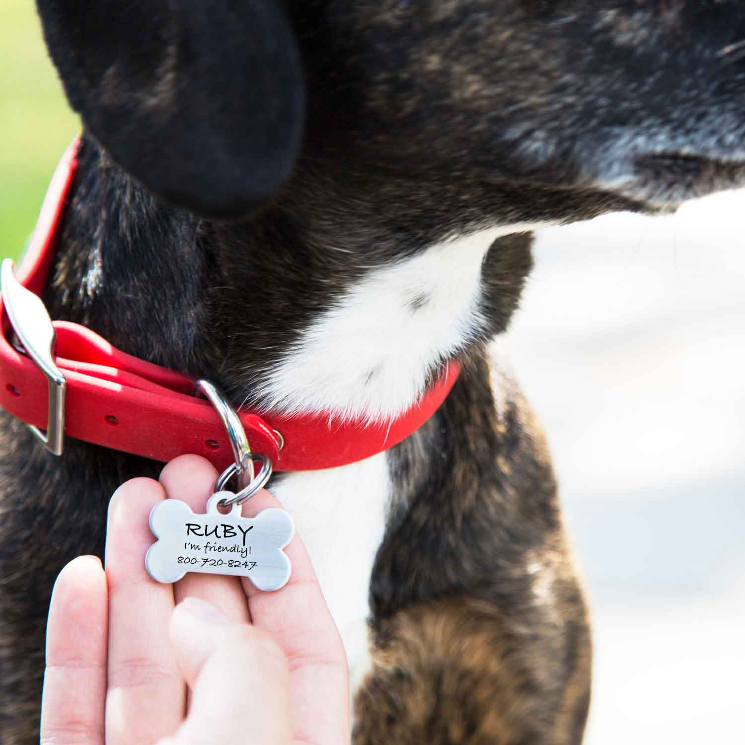 Custom Dog ID Tags | Deep Engraved & Guaranteed | dogIDs