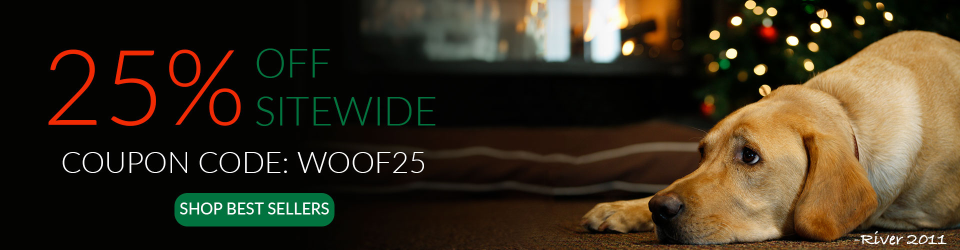 Personalized Dog Tags & Accessories | dogIDs