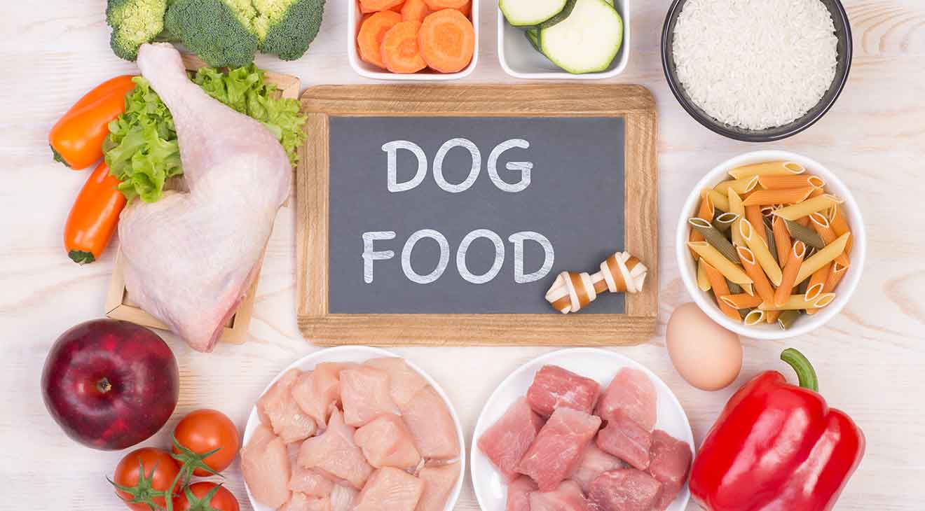 Can My Dog Eat That? Safe Foods for Dogs - dogIDs