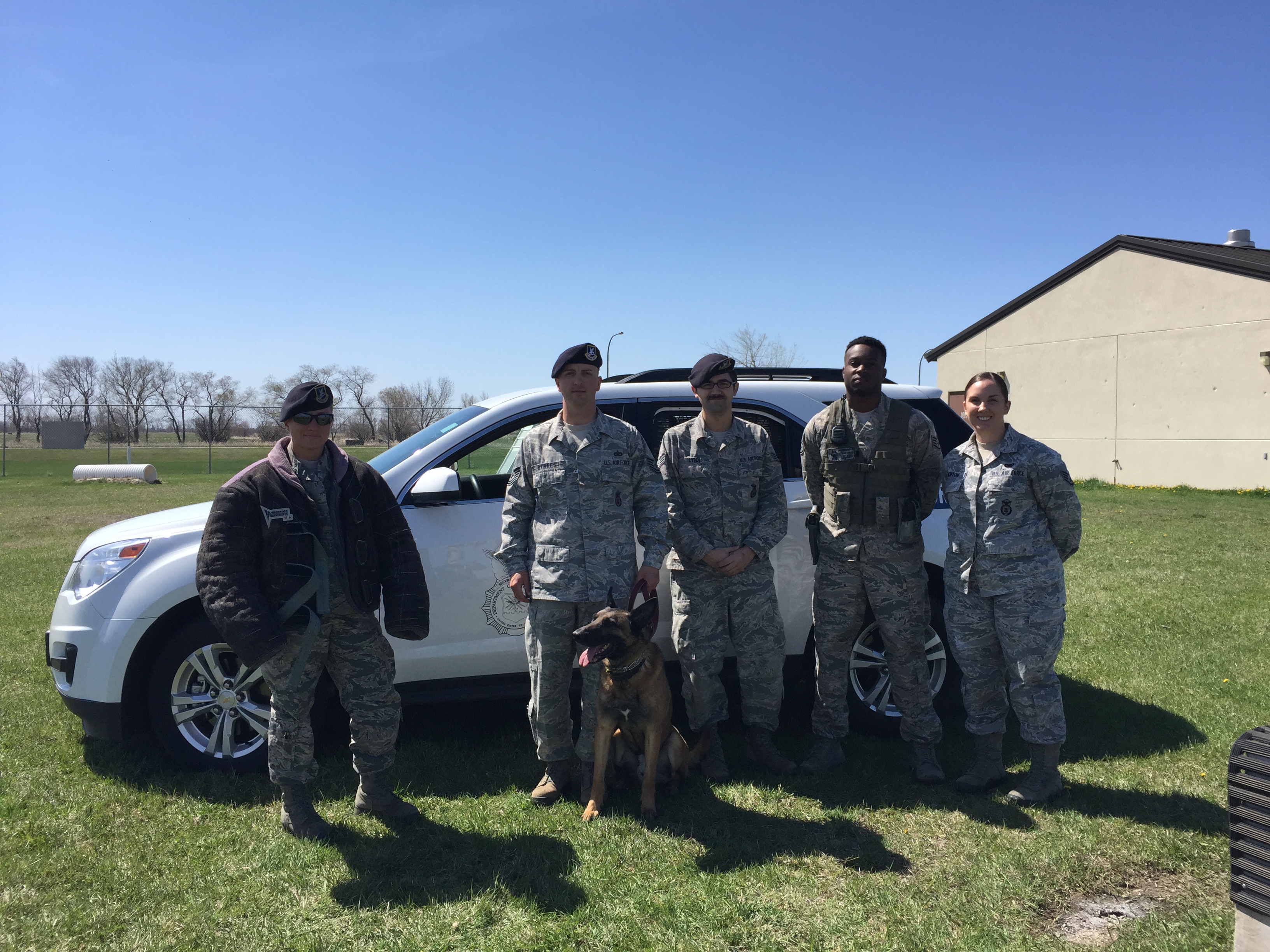 What to Know About Active Duty Military Dogs - dogIDs
