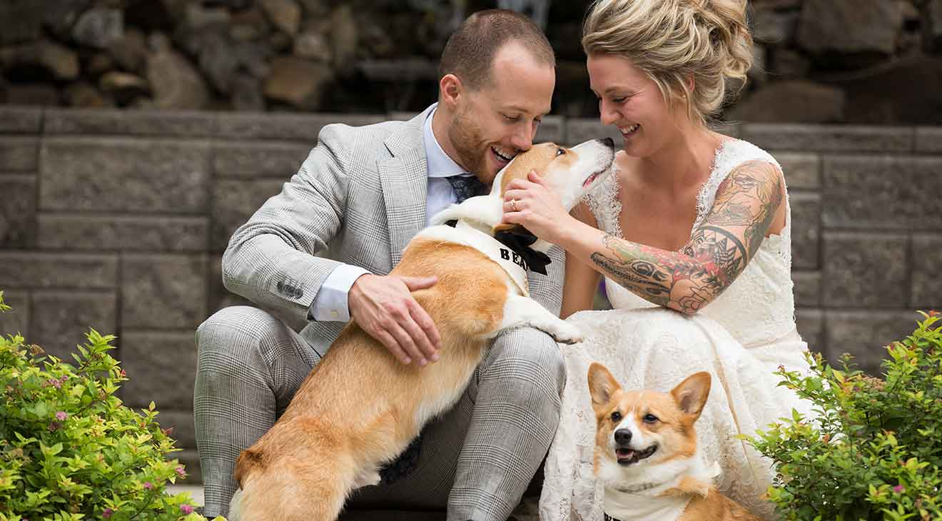 Tips for Including Your Dog In Your Wedding - dogIDs