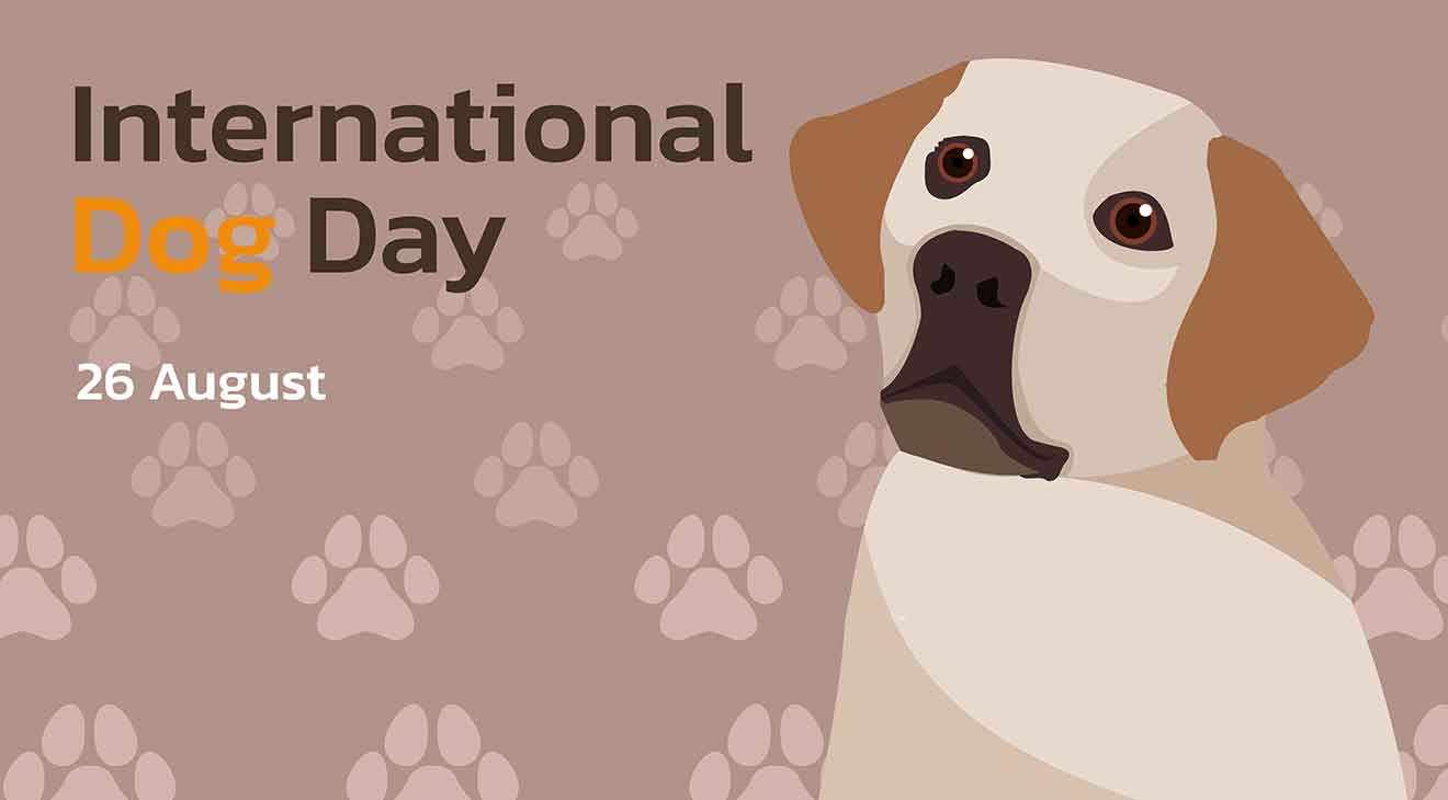 5 Ways to Celebrate National Dog Day - dogIDs