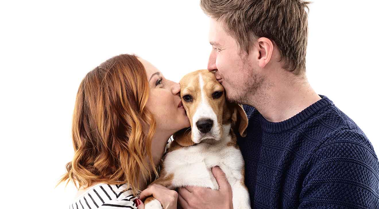 Fur Babies - An Alternative to Having Kids? - dogIDs
