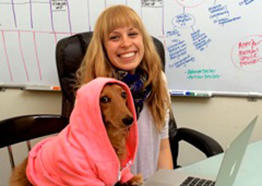 Meet Four Dogs That Go to Work Every Day - dogIDs