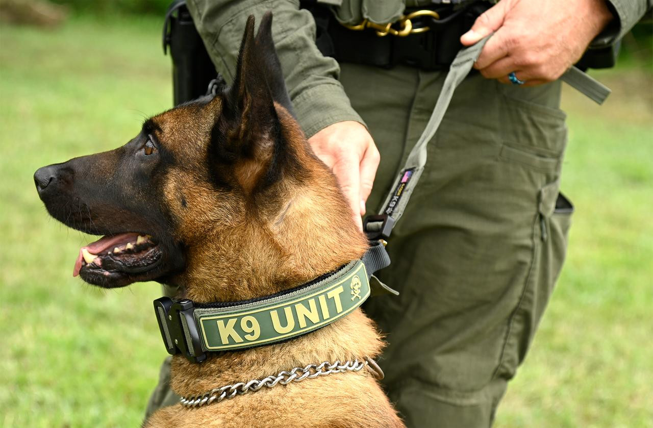 "Working K9" Patch
