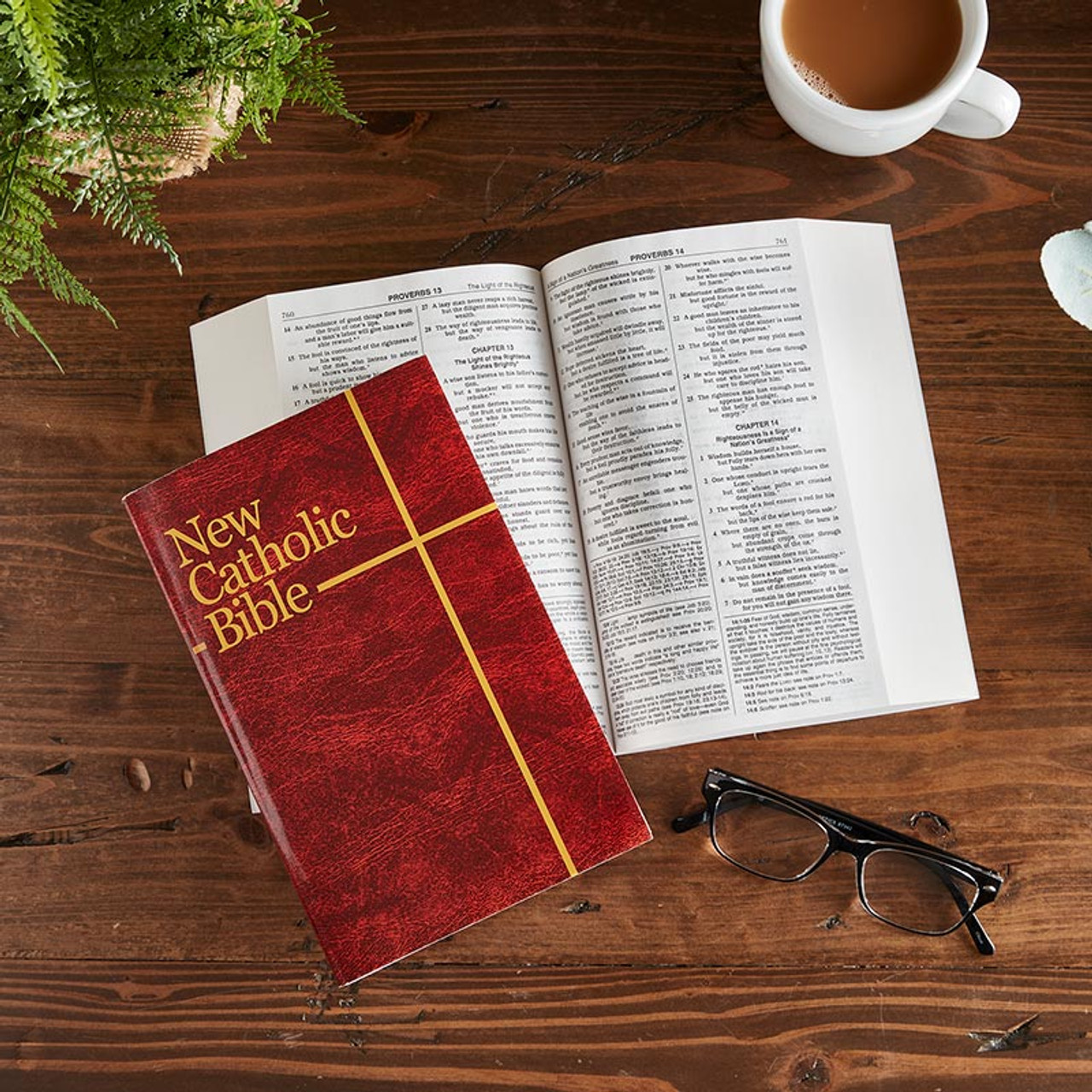 New Catholic Bible Student Edition