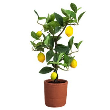 Lemon Topiary