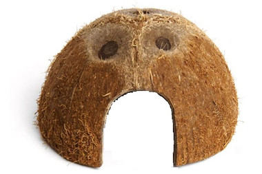 Komodo Habitat Den Coconut Shell Reptile/Amphibian Hut Vivarium ...