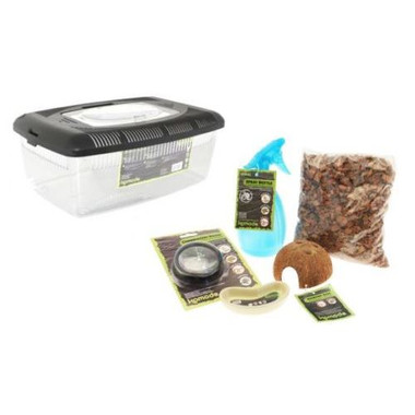 Komodo Complete Basic Spider Kit - Kettering Koi