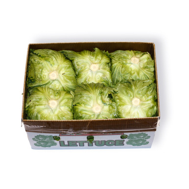 LETTUCE ICEBERG CASE (#12) - Growers Own