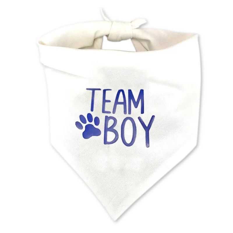 Team Boy Dog Bandana | Gender Reveal Party