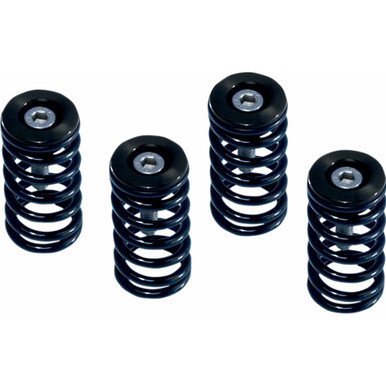 Barnet Motorcycle Clutch Spring Kit for Ducati - Revco.ca