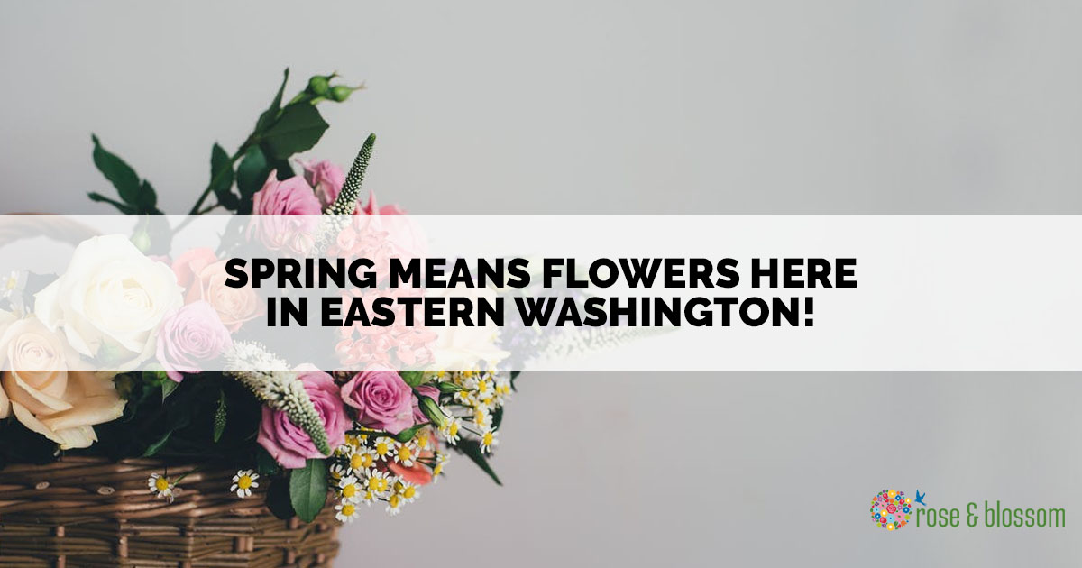 Spring Means Flowers Here in Eastern Washington! - Rose & Blossom