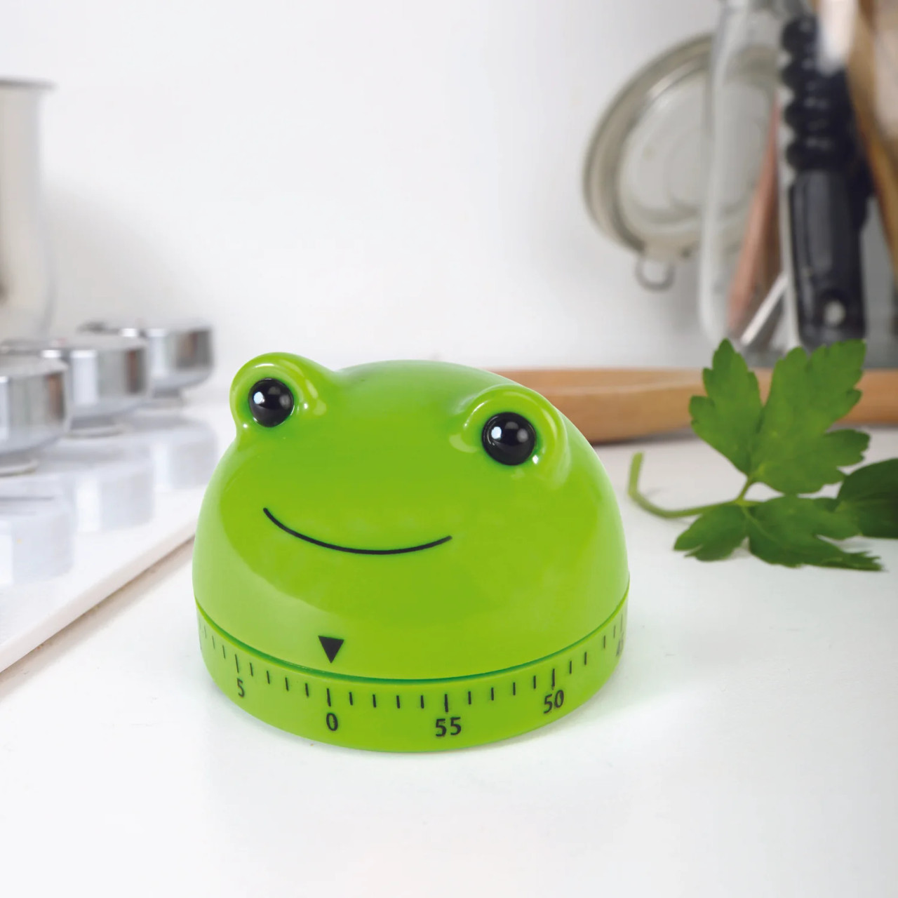 Froggy Timer #TK55 | Lindenhaus Imports