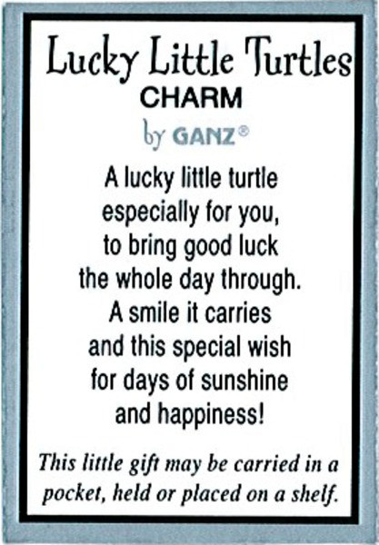 Lucky Little Turtle Motivational Charm | Lindenhaus Imports