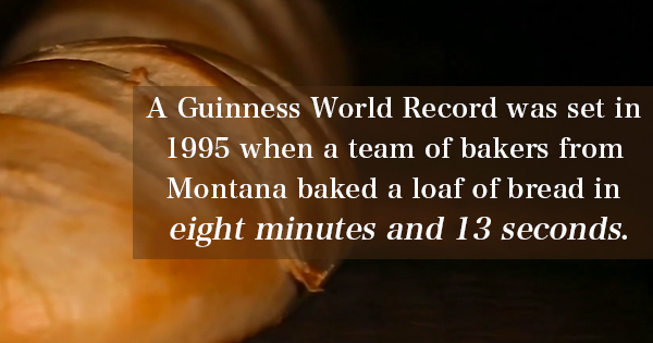 In The Know About Dough: Fun and Foccacinating Bread Facts You Didn't ...