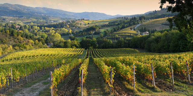 The Difference Between DOC and DOCG - ABC Fine Wine & Spirits