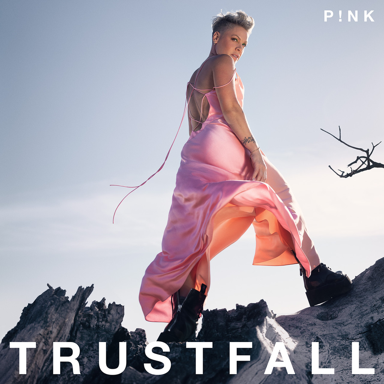 P nk Trustfall LP Vinyl P nk Trustfall LP Vinyl