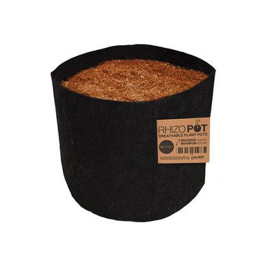 12ltr Rhizo Pot - Lifestyle Gardens