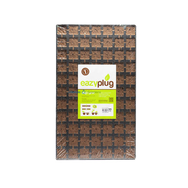 Eazy Plug CT77