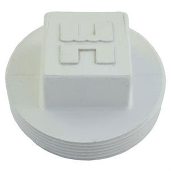 Hayward 2" Pipe Plug