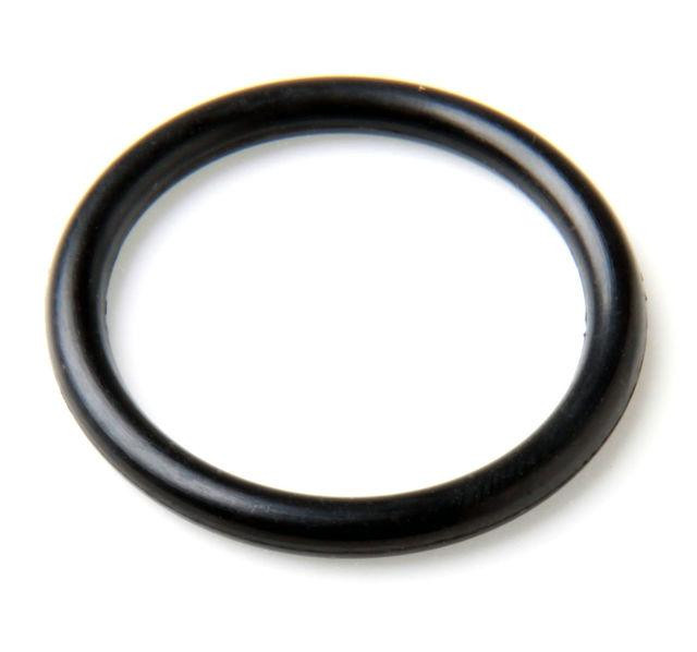 CMP PowerClean Salt Cell O-Ring - 52000-200-101