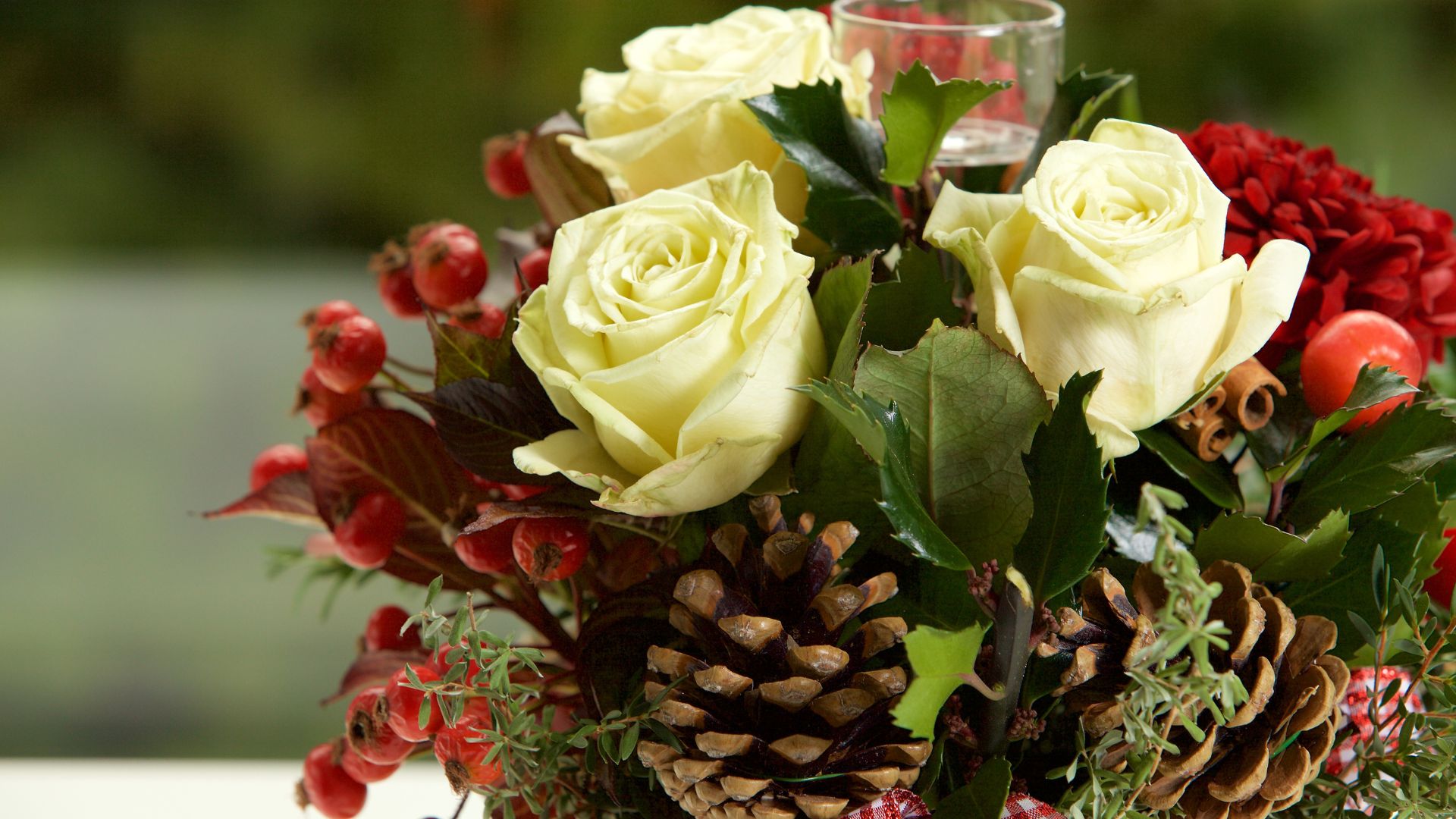 Captivating Christmas Blooms: A Floral Guide for a Festive Celebration ...