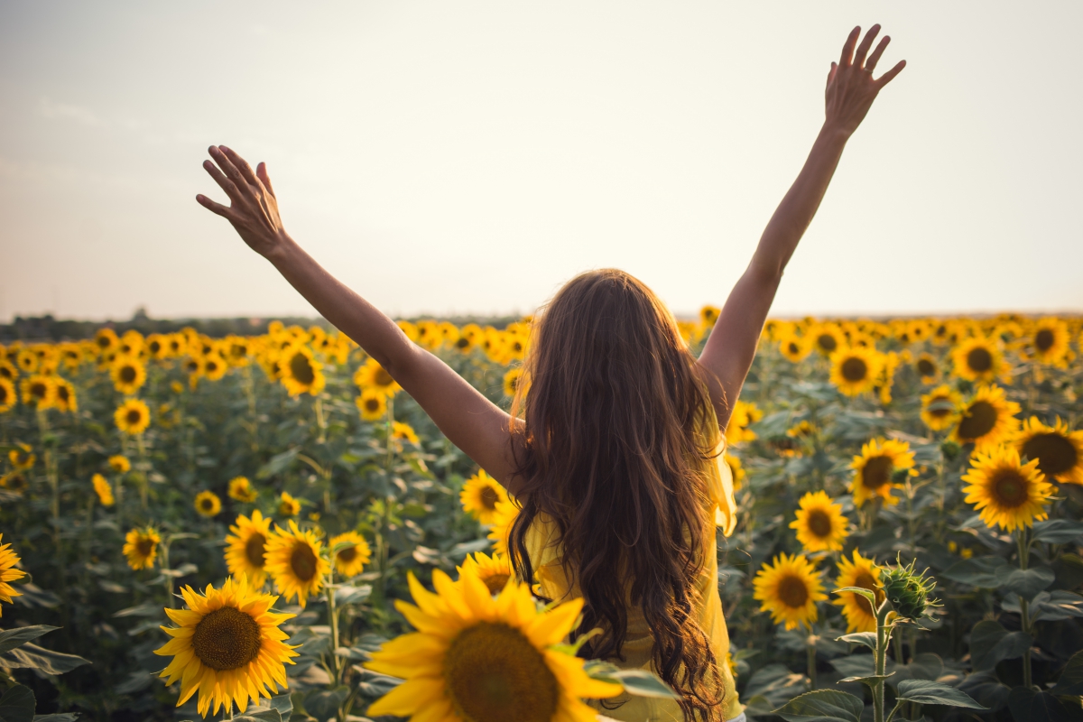 Guide To Summer Flowers - Chappell's Florist