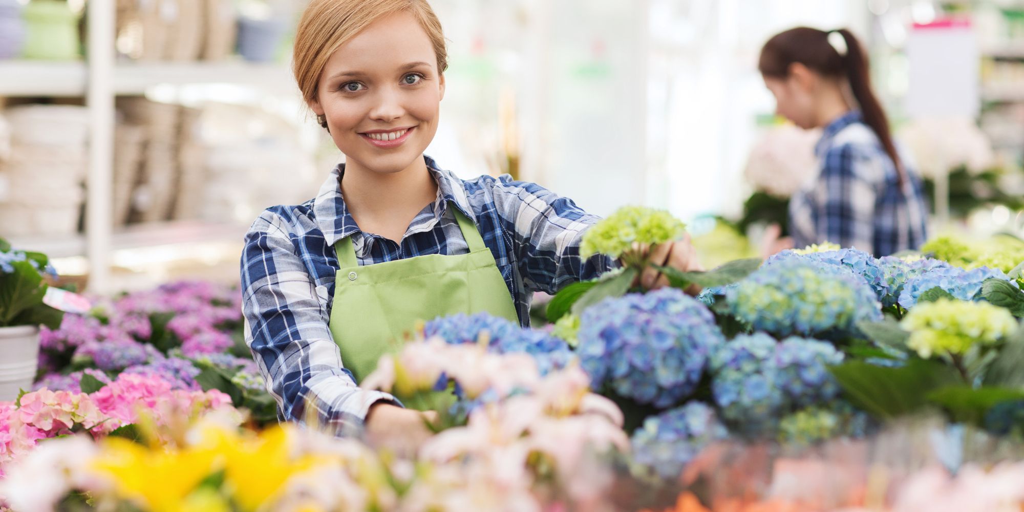 Flower and Plant Care 101 - Chappell's Florist