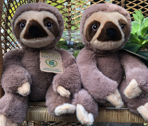 Plush Sloth
