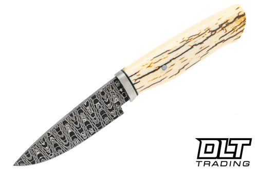 Wa Surls Wedowee Vegas Damascus Flat Ground Mammoth Ivory