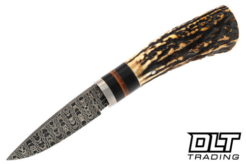 Wa Surls Wedowee Vegas Damascus Flat Ground Sambar Stag Leather
