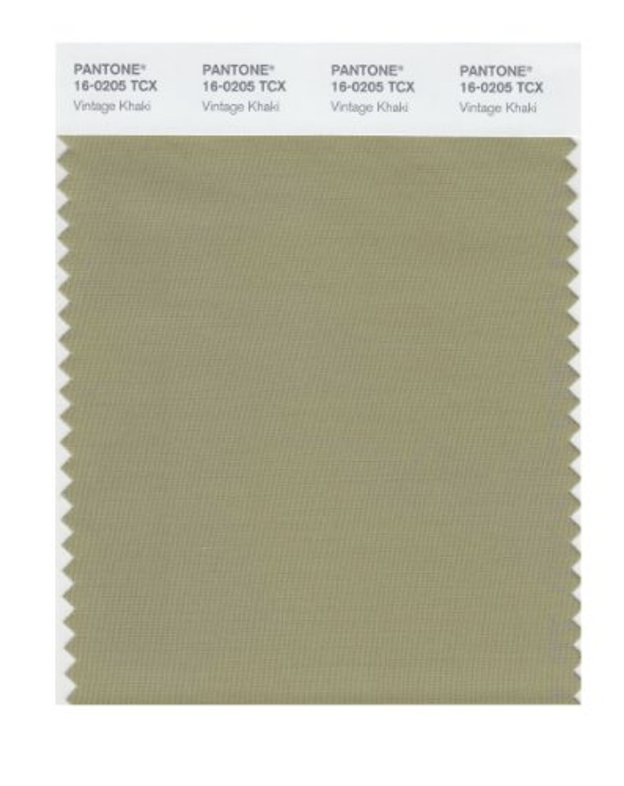 Pantone 16-0205 TCX Smart Color Swatch Card, Vintage Khaki ...