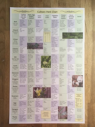 Culinary Herb Chart- Guide to Cooking- Reference Poster Art- Laminated ...