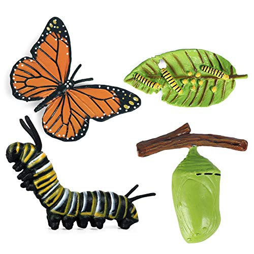 Insect Monarch Butterfly Growth Cycle Figurine Monarch Butterfly Life ...