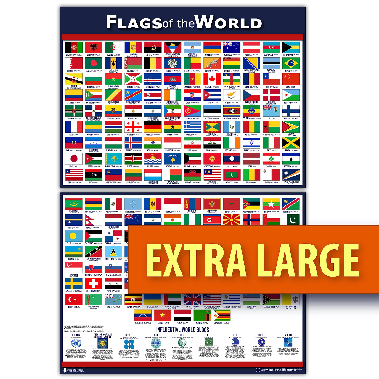 World Flags Extra Large Educational Poster Laminated Split 2 Part Young ...