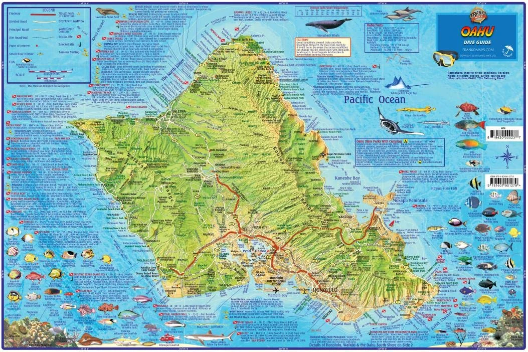 Oahu Hawaii Dive Poster Map Laminated by Franko Maps - Warehousesoverstock