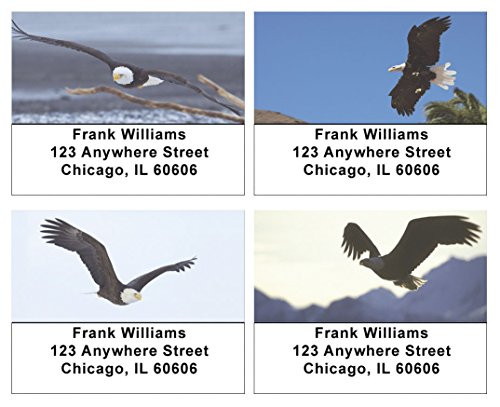 Bald Eagle in Flight Address Labels - Warehousesoverstock