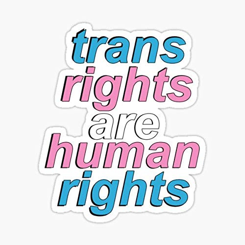 Trans Rights are Human Rights Sticker - Sticker Graphic - Auto, Wall ...
