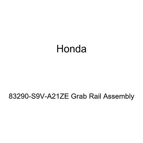 Honda Genuine 83290-S9V-A21ZE Grab Rail Assembly - Warehousesoverstock